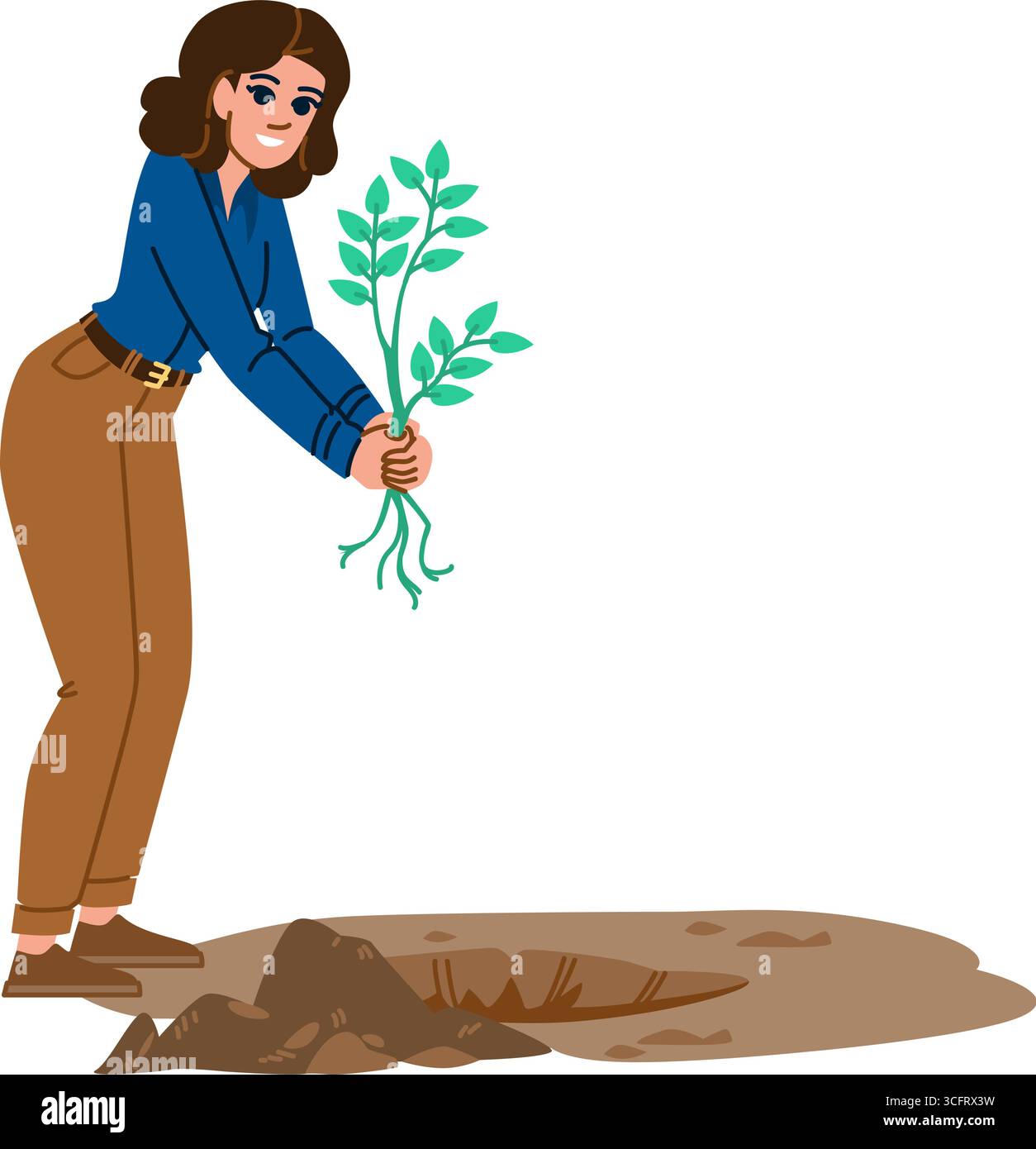 Woodland planting Cut Out Stock Images & Pictures - Alamy