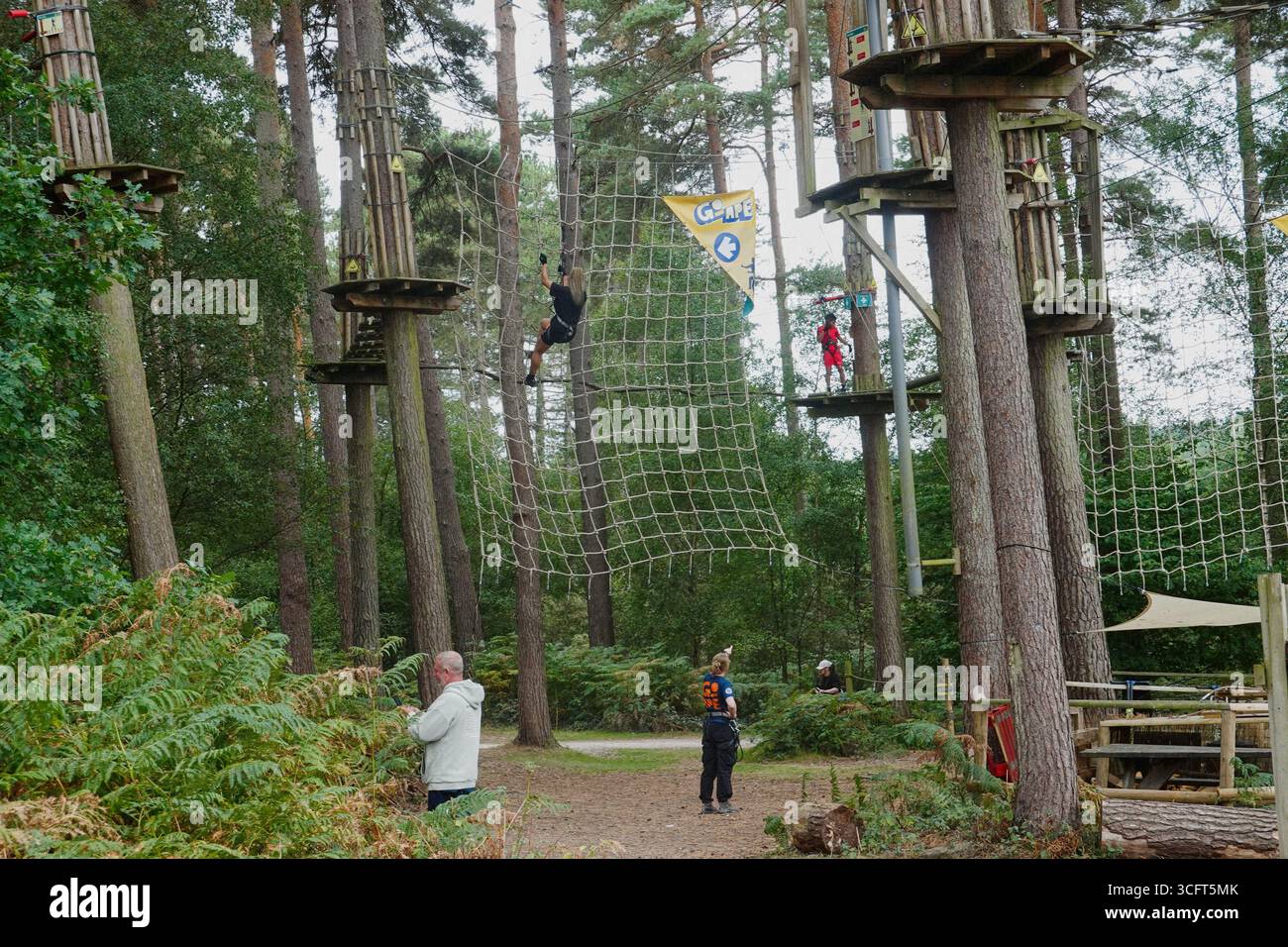People enjoy holidays in Go Ape park, Cannock Chase forest, UK Stock ...
