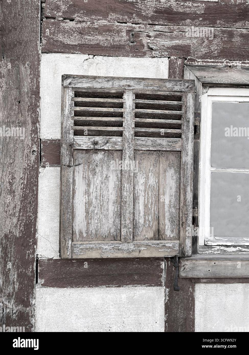 Altes Fenster mit Fensterläden aus Holz ist mit Efeu zugewachsen Stock ...