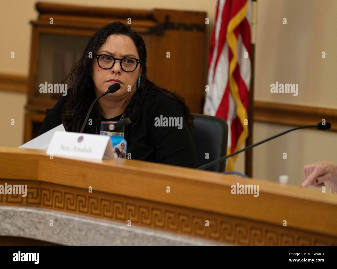 Denver, Colorado, USA. 24th Aug, 2025. State Sen. Julie Gonzales, D ...