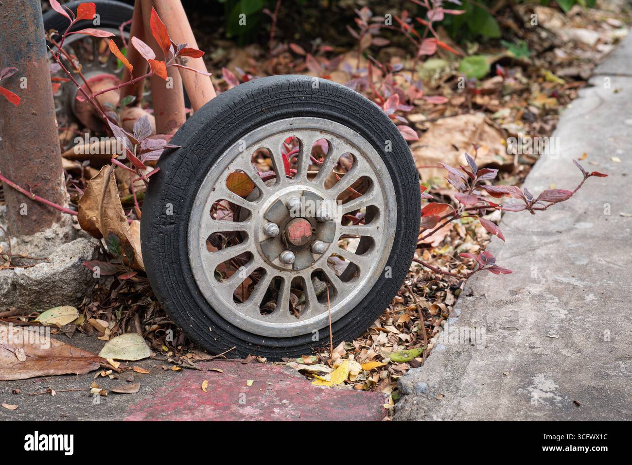 Wheel of wheeled crowd barrier on the ground surrounded by red leaf ...