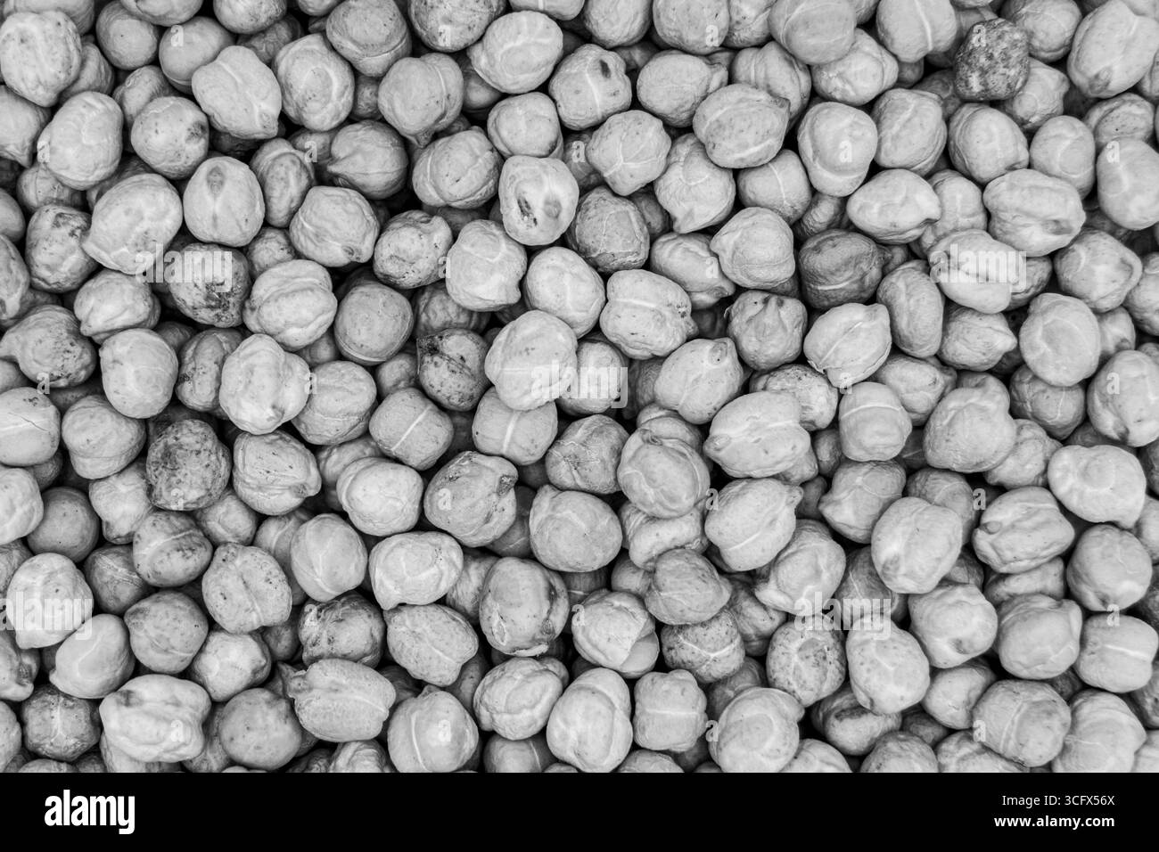 Beautiful organic dried chickpea beans consisting of raw bengal legume ...