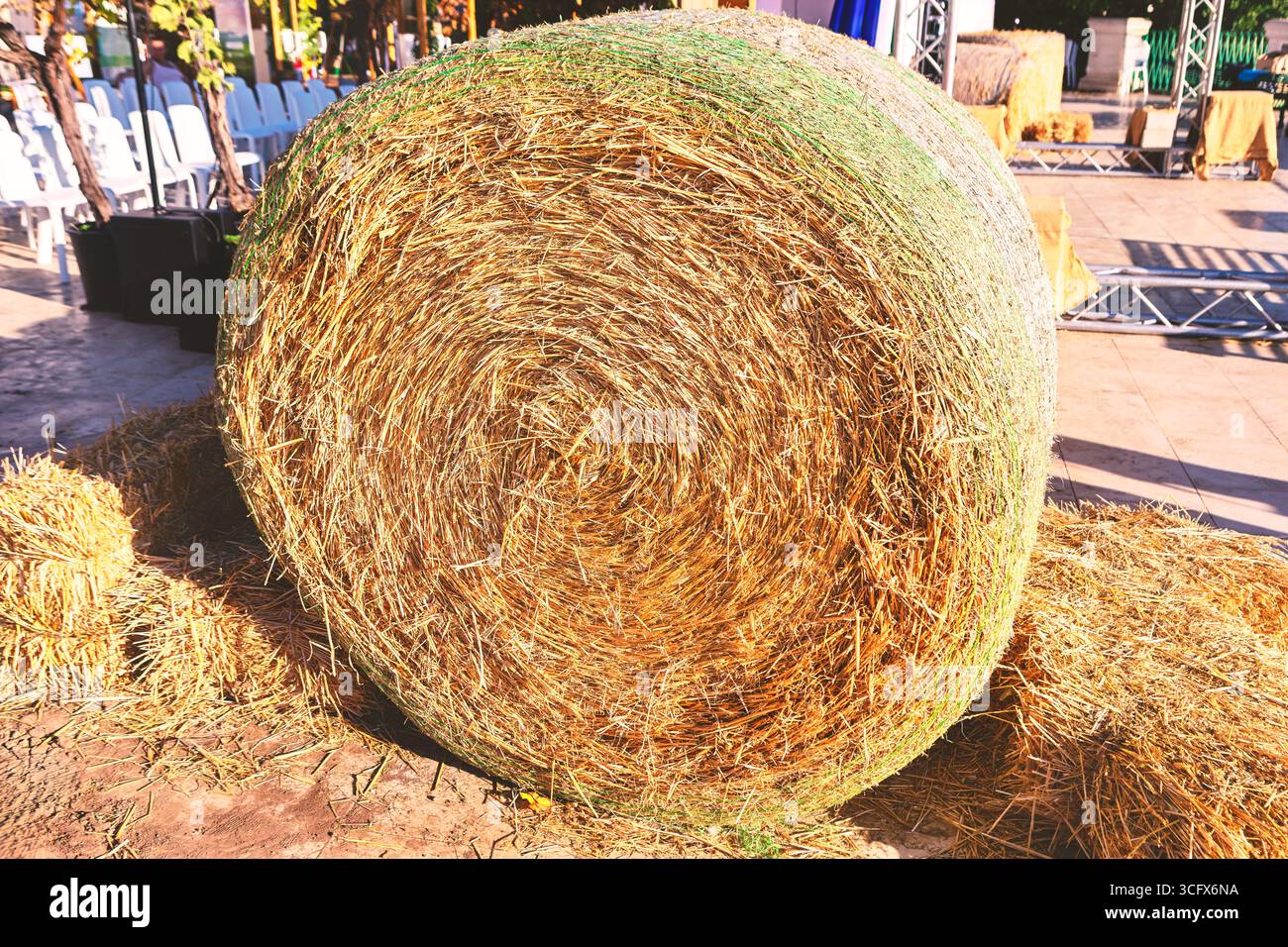 Countryside green field surface round hi-res stock photography and ...