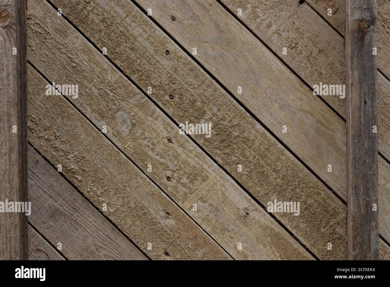 Weathered gray wooden panels with small nails. Diagonal timber planks ...