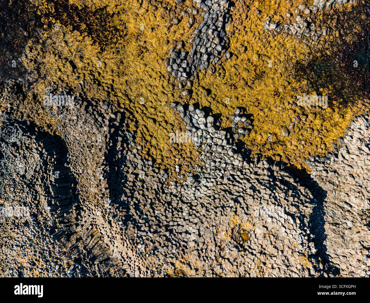 Aerial view of moss-covered basalt columns creating a textured tapestry ...