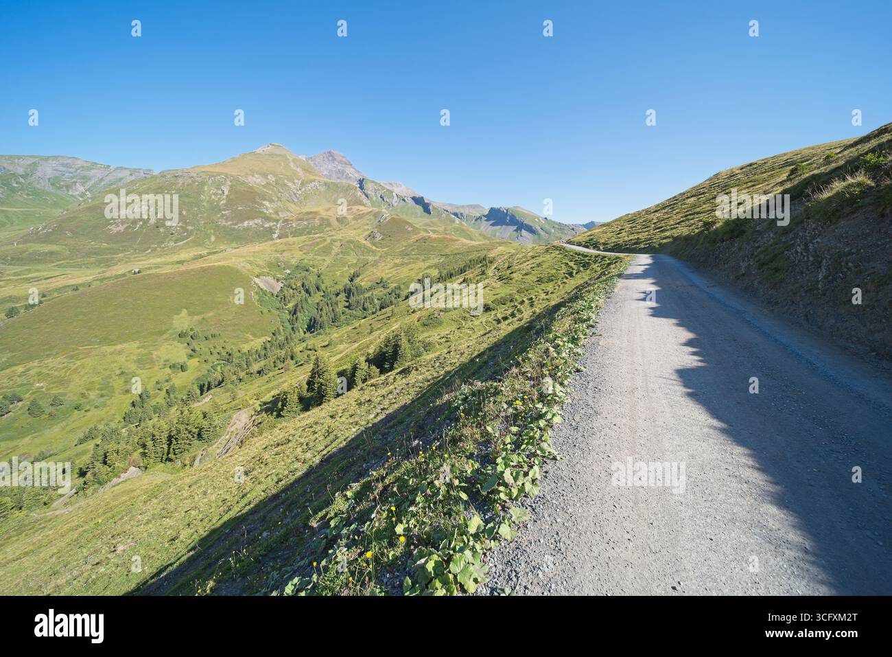 Landscape in Switzerland, on a hiking trail between Grosse Scheidegg ...
