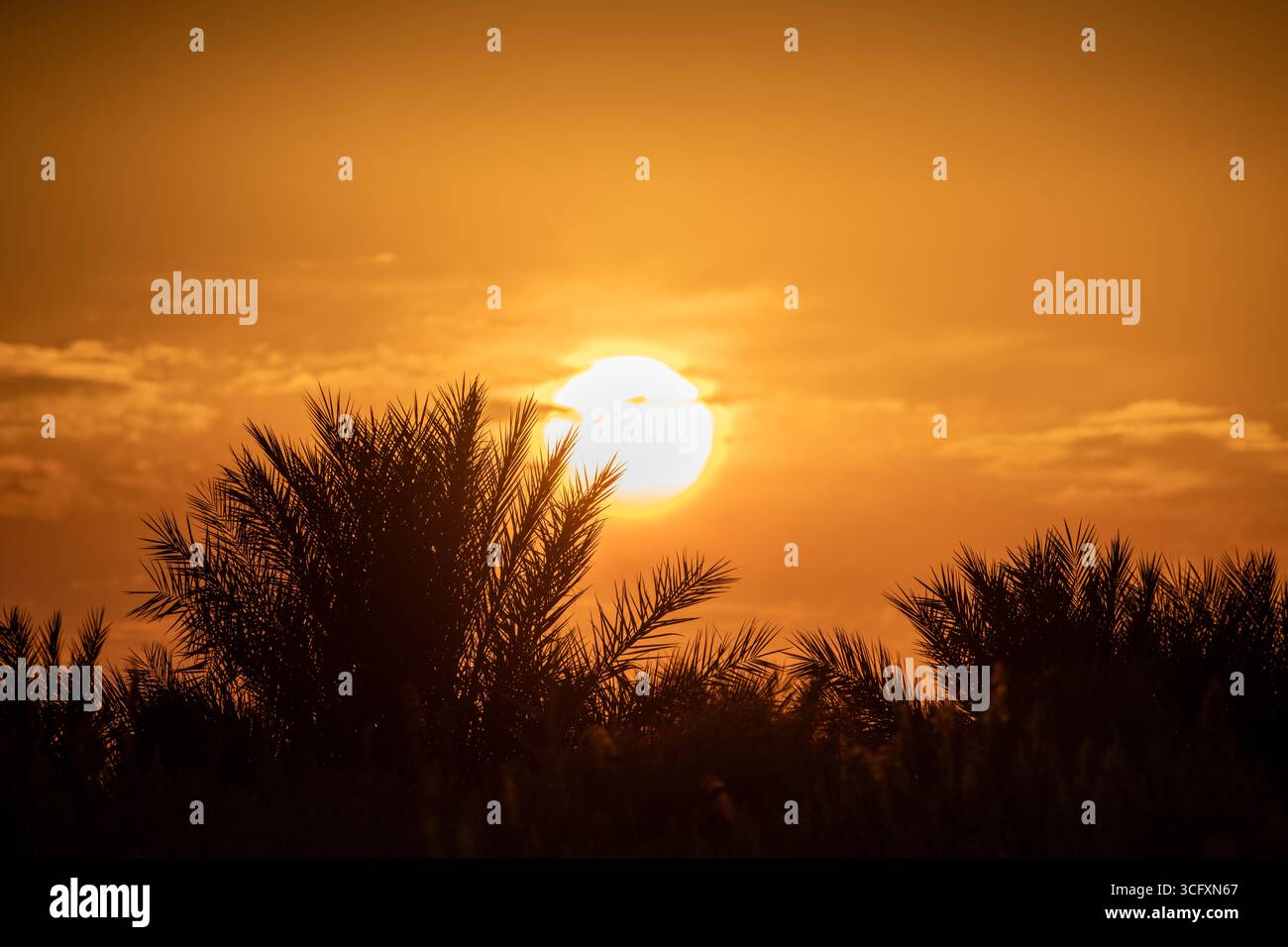 Sunset over wetlands hi-res stock photography and images - Alamy