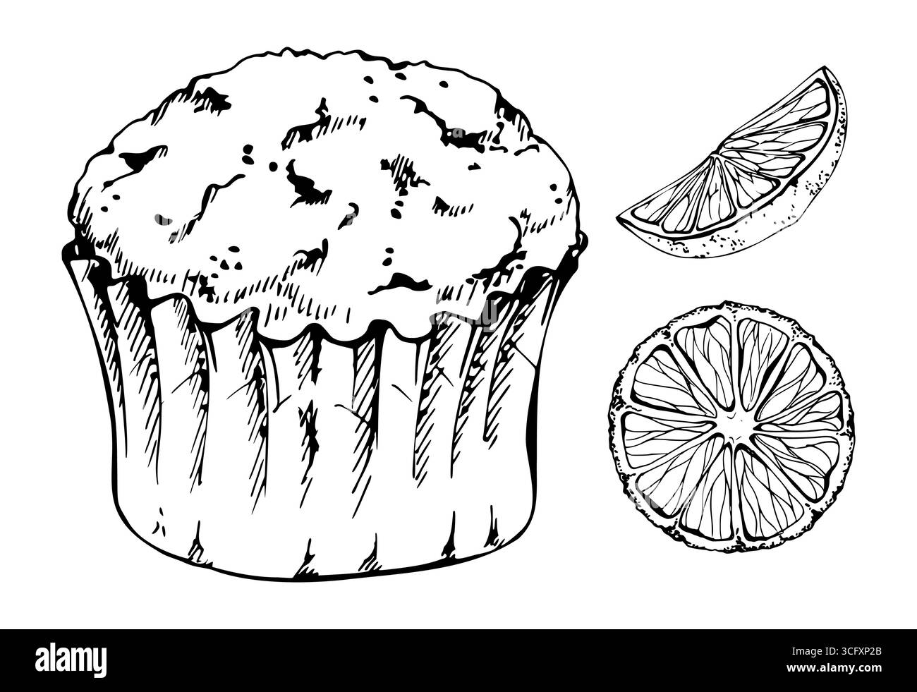 Sweet candied orange slice Stock Vector Images - Alamy