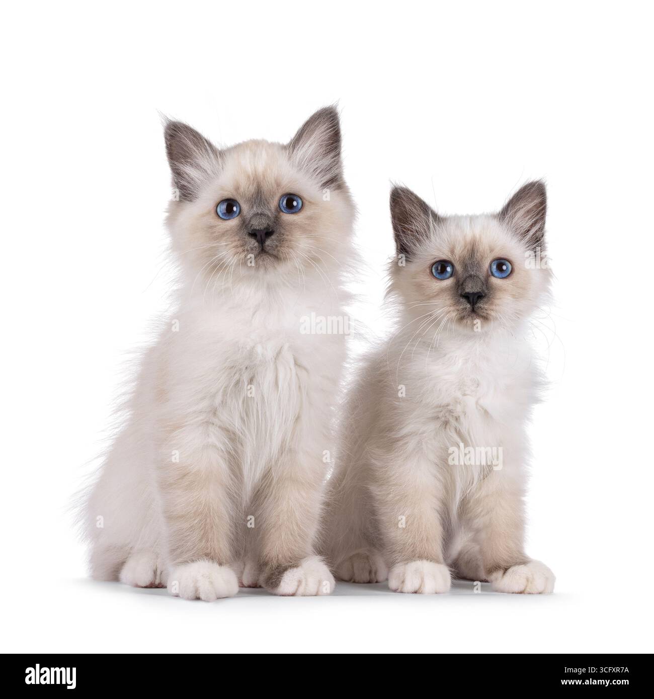 Two people looking pastel hi-res stock photography and images - Alamy