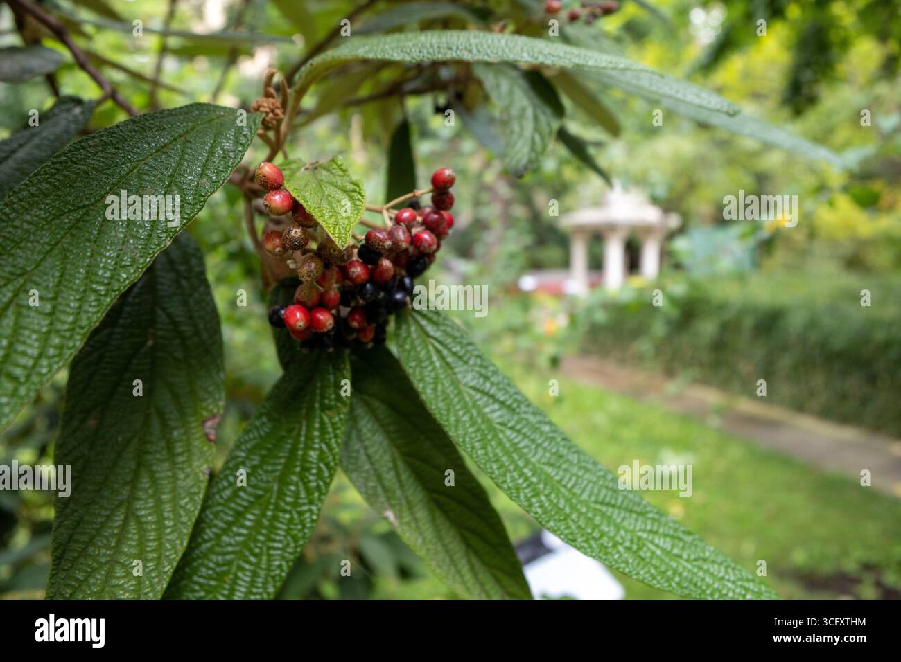 Animal farm, zoo Stock Photo - Alamy