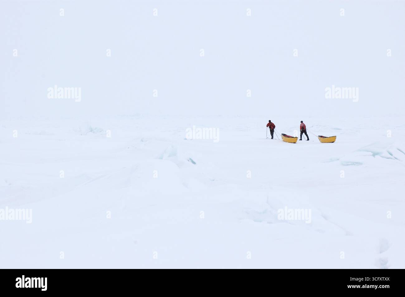 Two winter explorers are cross country skiing over the white frozen ...