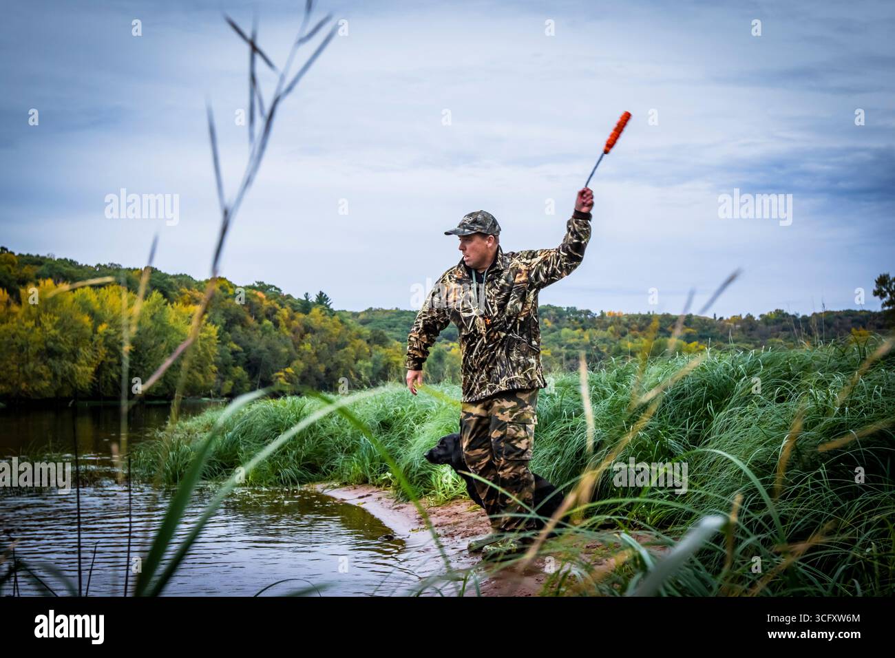Hunter training dog for duck hunting Stock Photo - Alamy