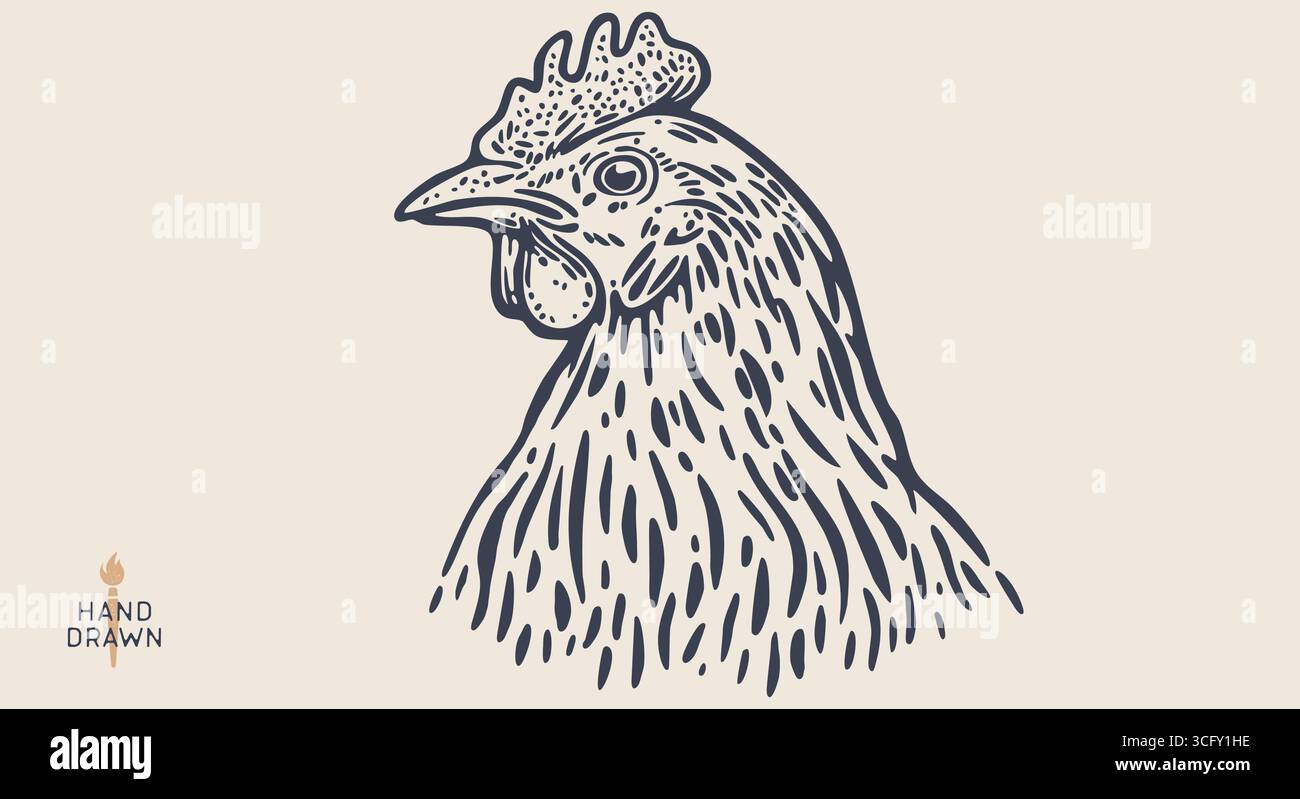 Chicken, farm hen sketch Stock Vector Image & Art - Alamy