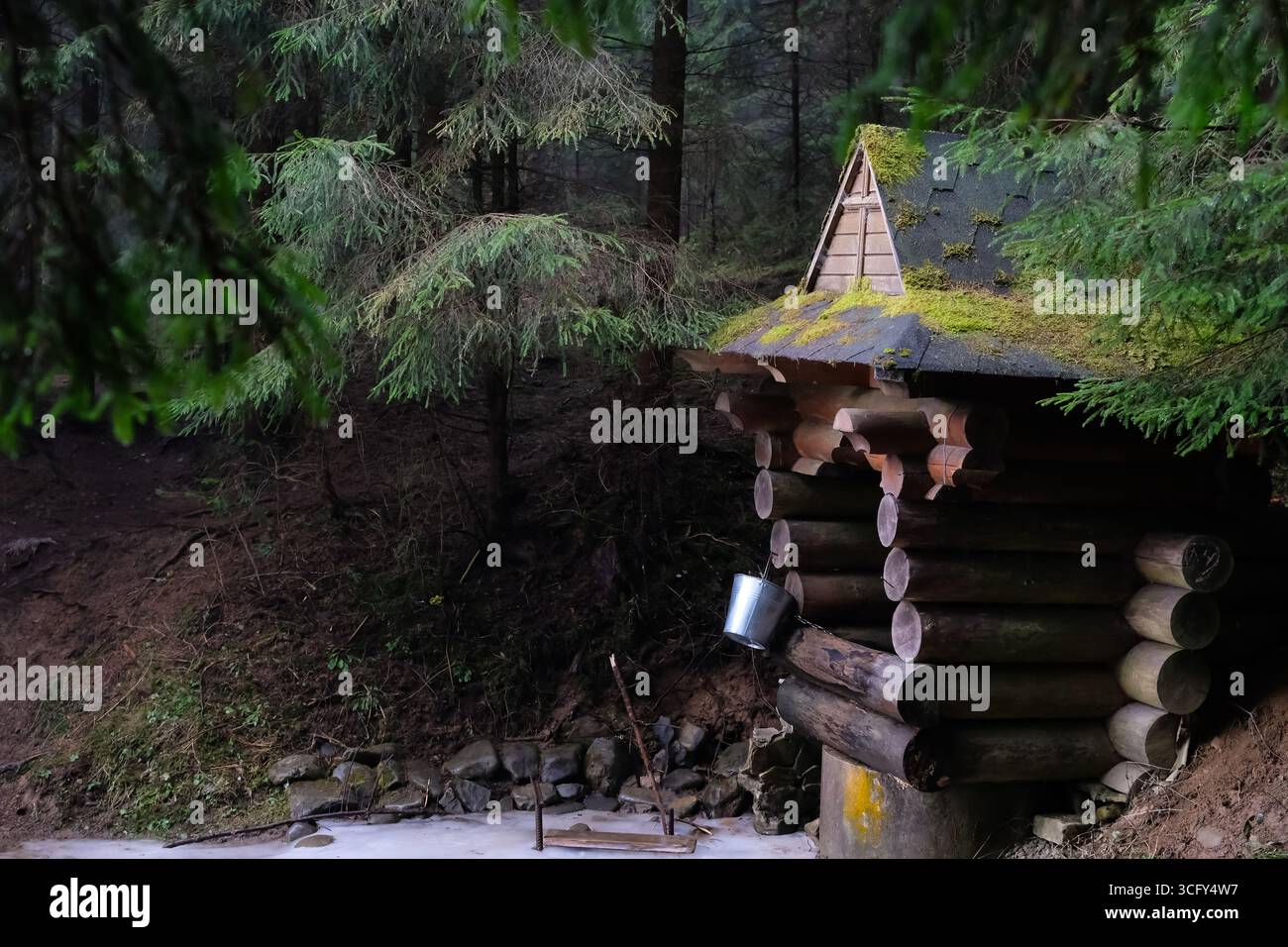 Wooden Well with a Roof Covered with Moss in a Spruce Fir Mountain ...