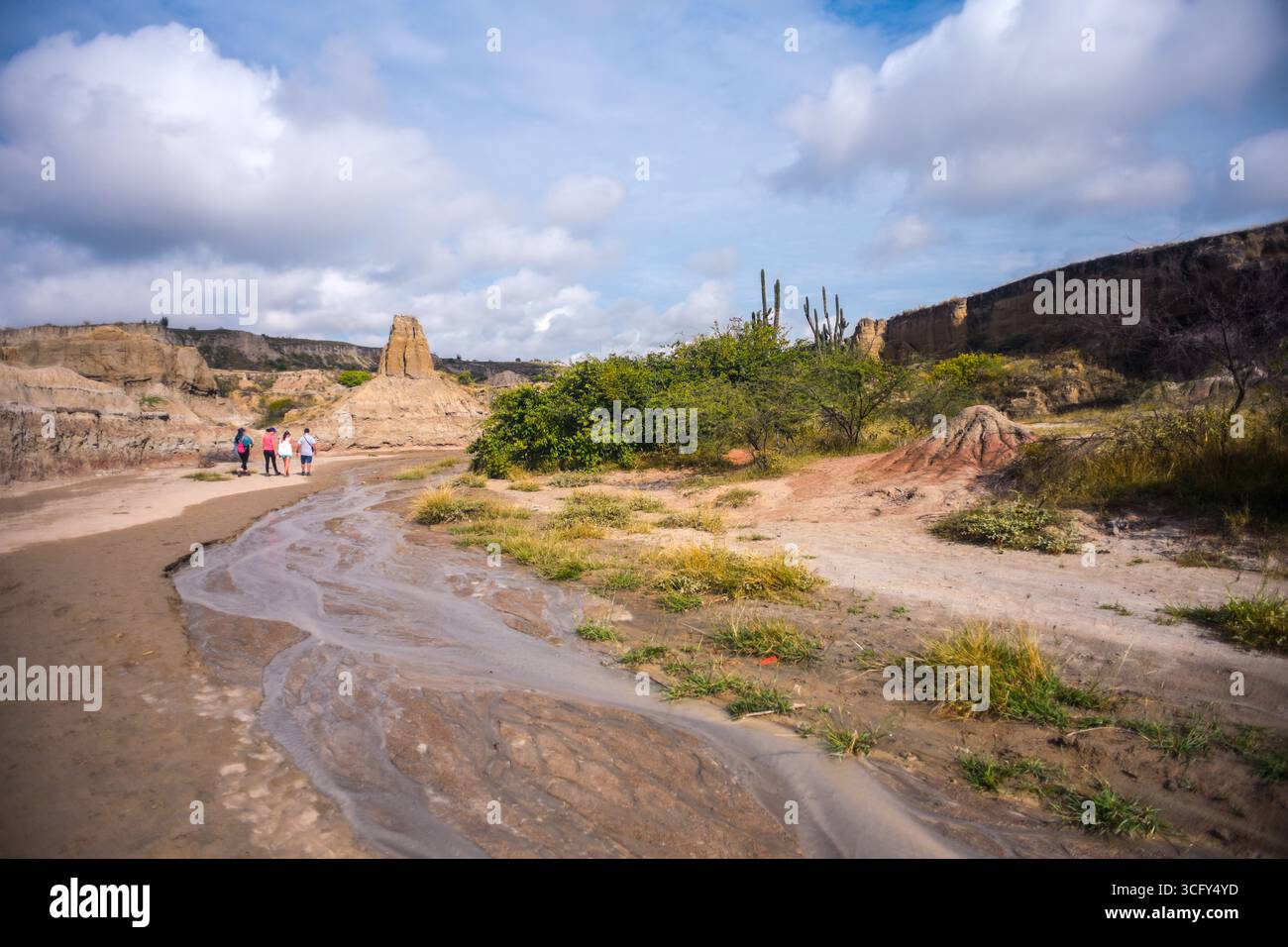 Valley of the Ghosts, Grey Desert, Tatacoa Desert, Colombia Stock Photo ...