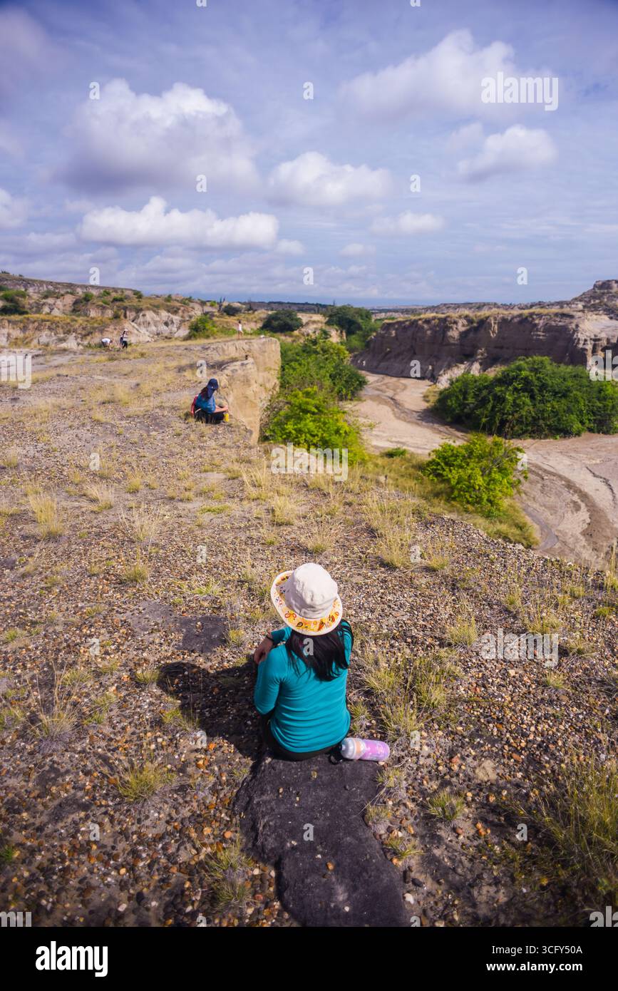 Valley of the Ghosts, Grey Desert, Tatacoa Desert, Colombia Stock Photo ...