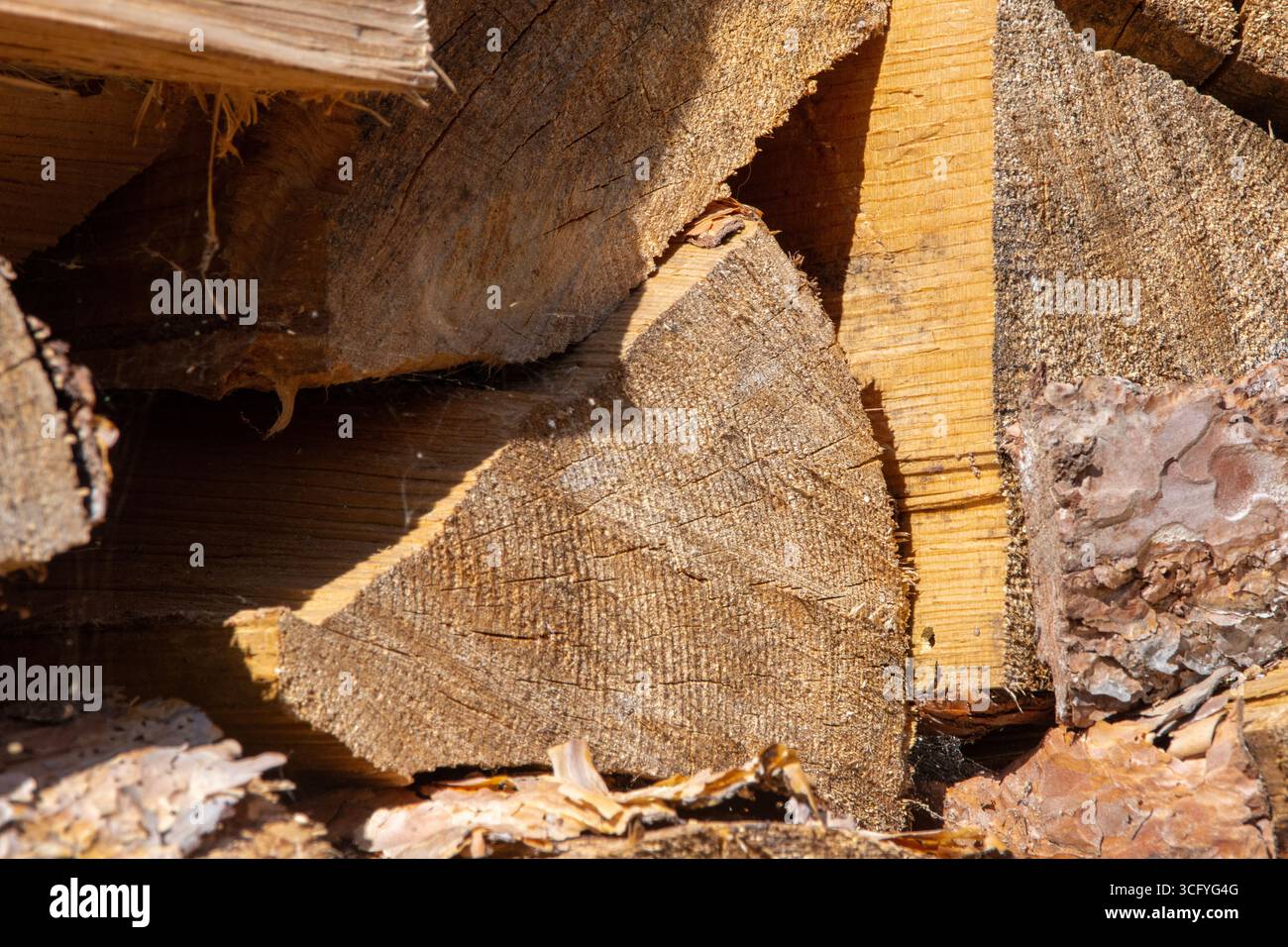 Fondo de troncos hi-res stock photography and images - Alamy