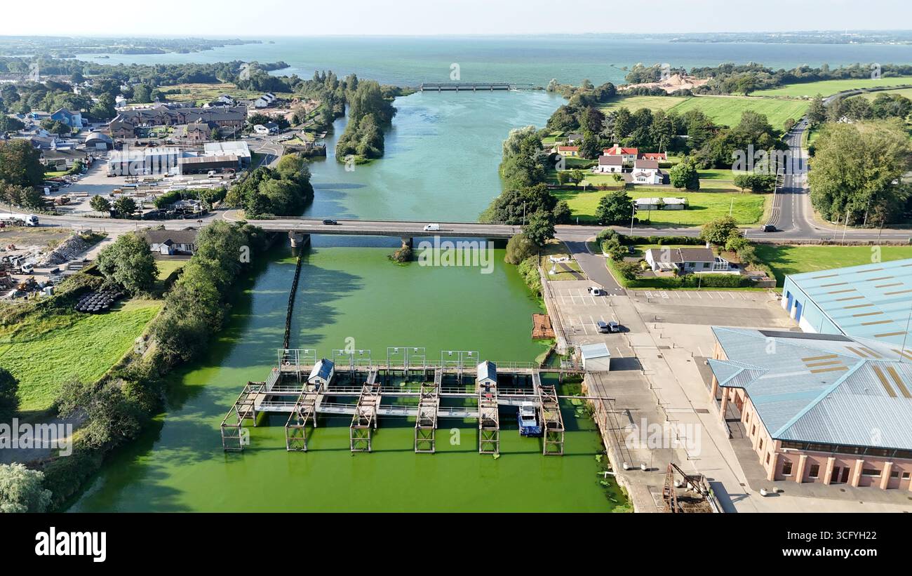 Blue-green algae on the River Bann where it meets Lough Neagh near the ...
