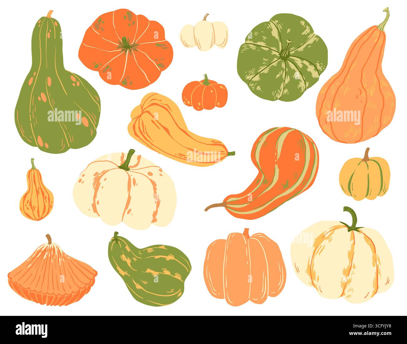 Various gourds squash Stock Vector Images - Alamy