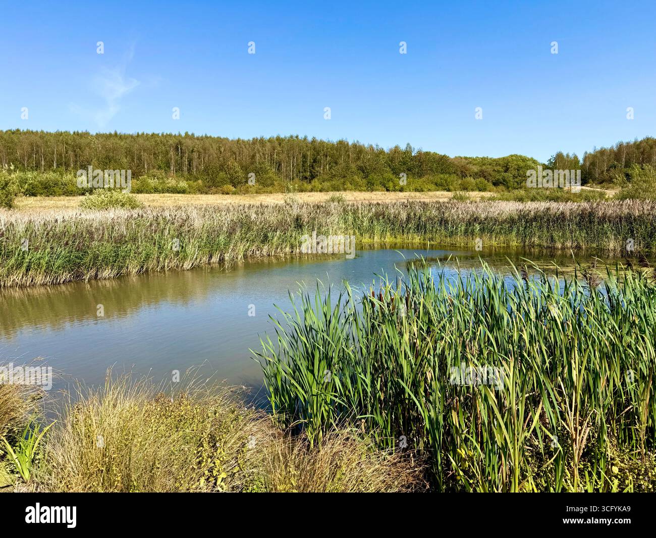 Gedling Country Park, Nottingham, England, U.K Stock Photo - Alamy