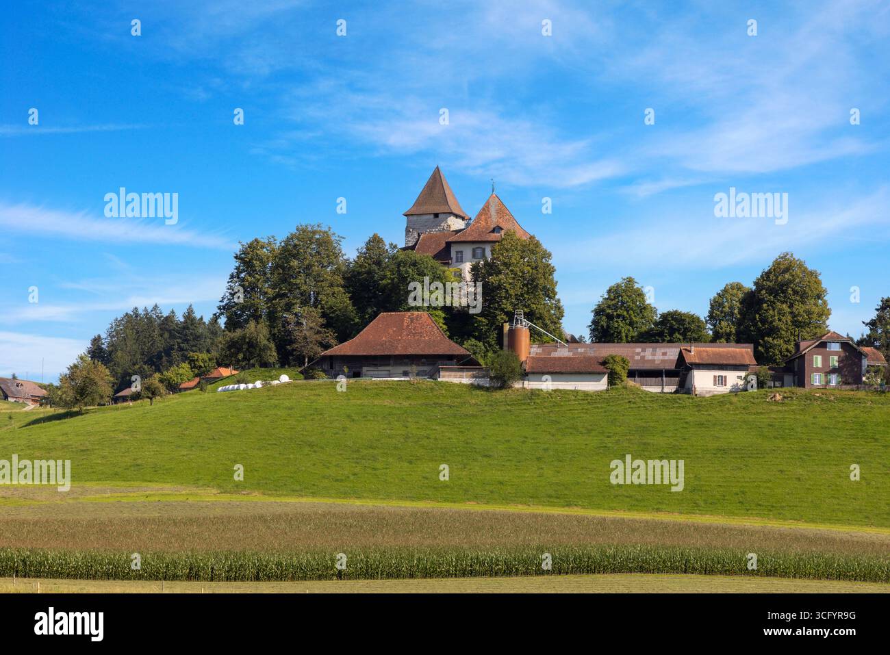Anabaptist hi-res stock photography and images - Alamy