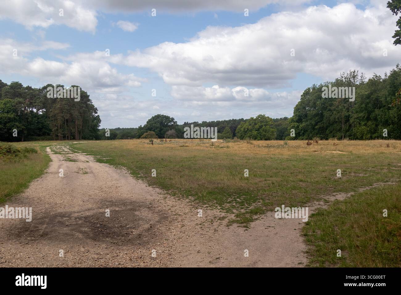 A view of Yateley Common an extensive heathland complex with areas of ...