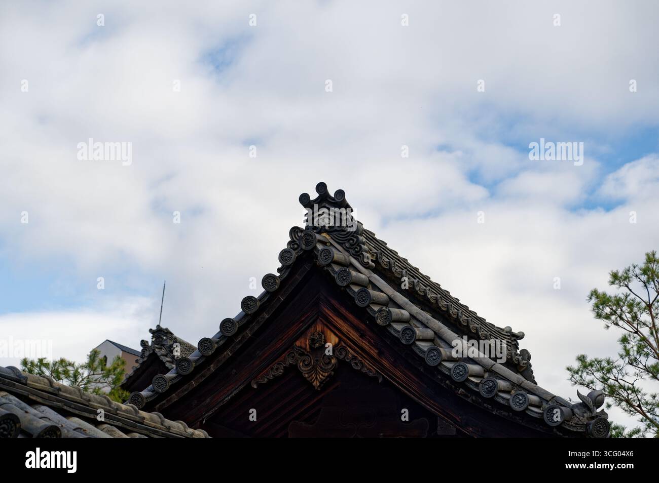 View ornate roof tiles hi-res stock photography and images - Alamy