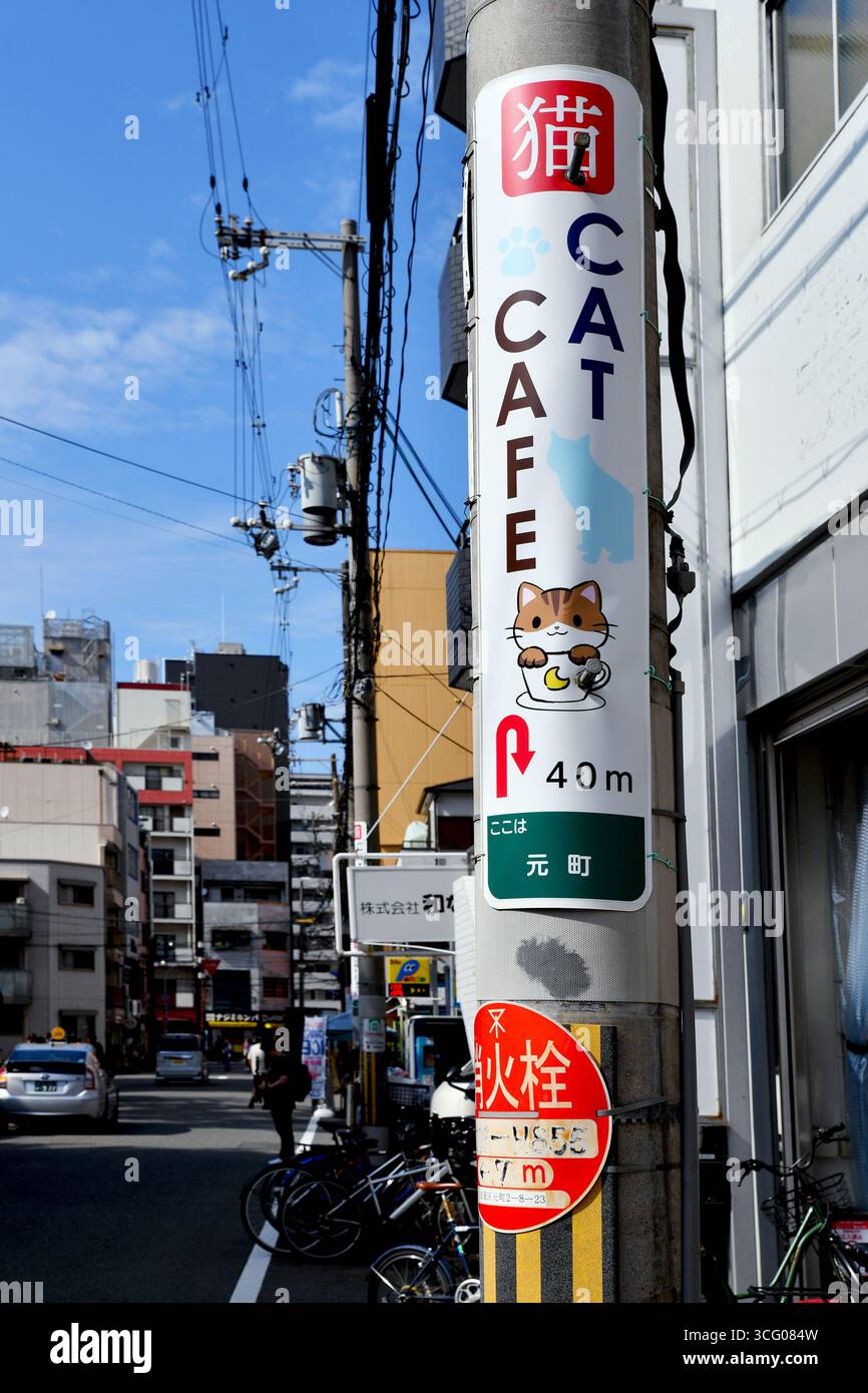 Cat Café in Osaka City - Japan Stock Photo - Alamy