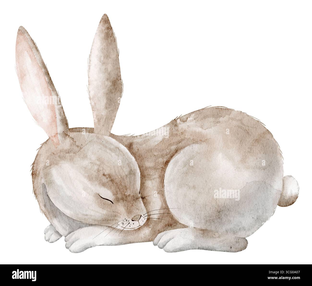 Forest in autumn soft Cut Out Stock Images & Pictures - Alamy