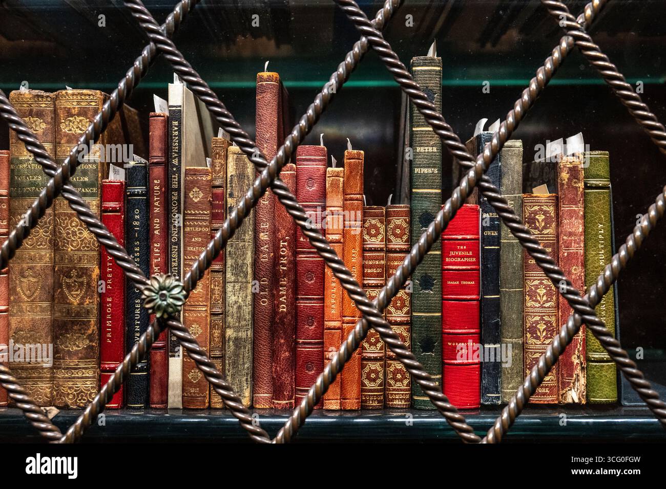 rare books in the Morgan Library collection Stock Photo - Alamy