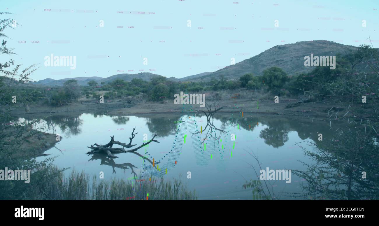 Displaying fallen tree branch floating in shallow waterhole at rural ...