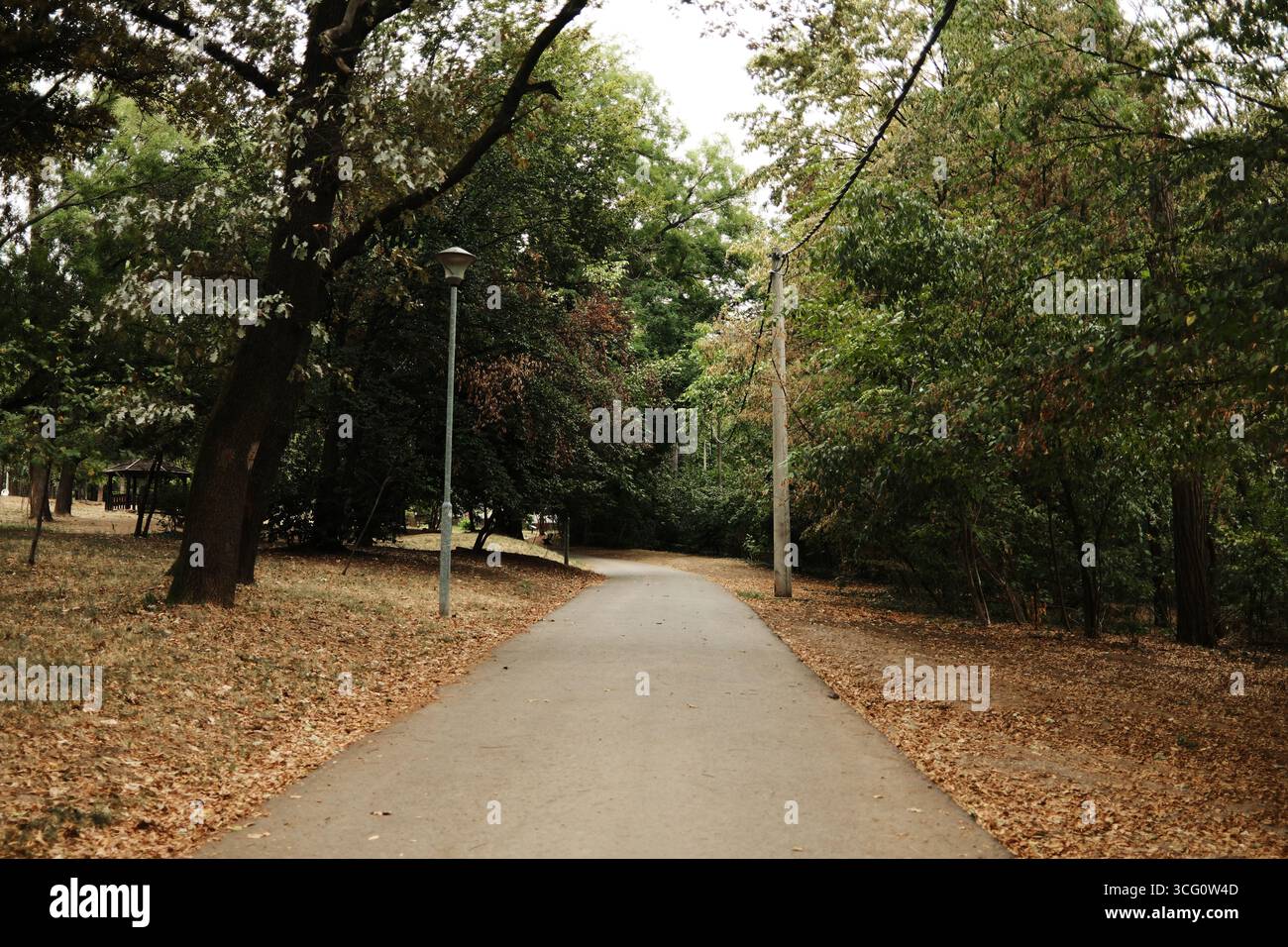 Suma park hi-res stock photography and images - Alamy