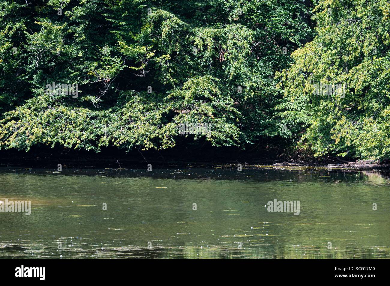 Etang de la Trapperie, a water pond and green park in Habay, Province ...