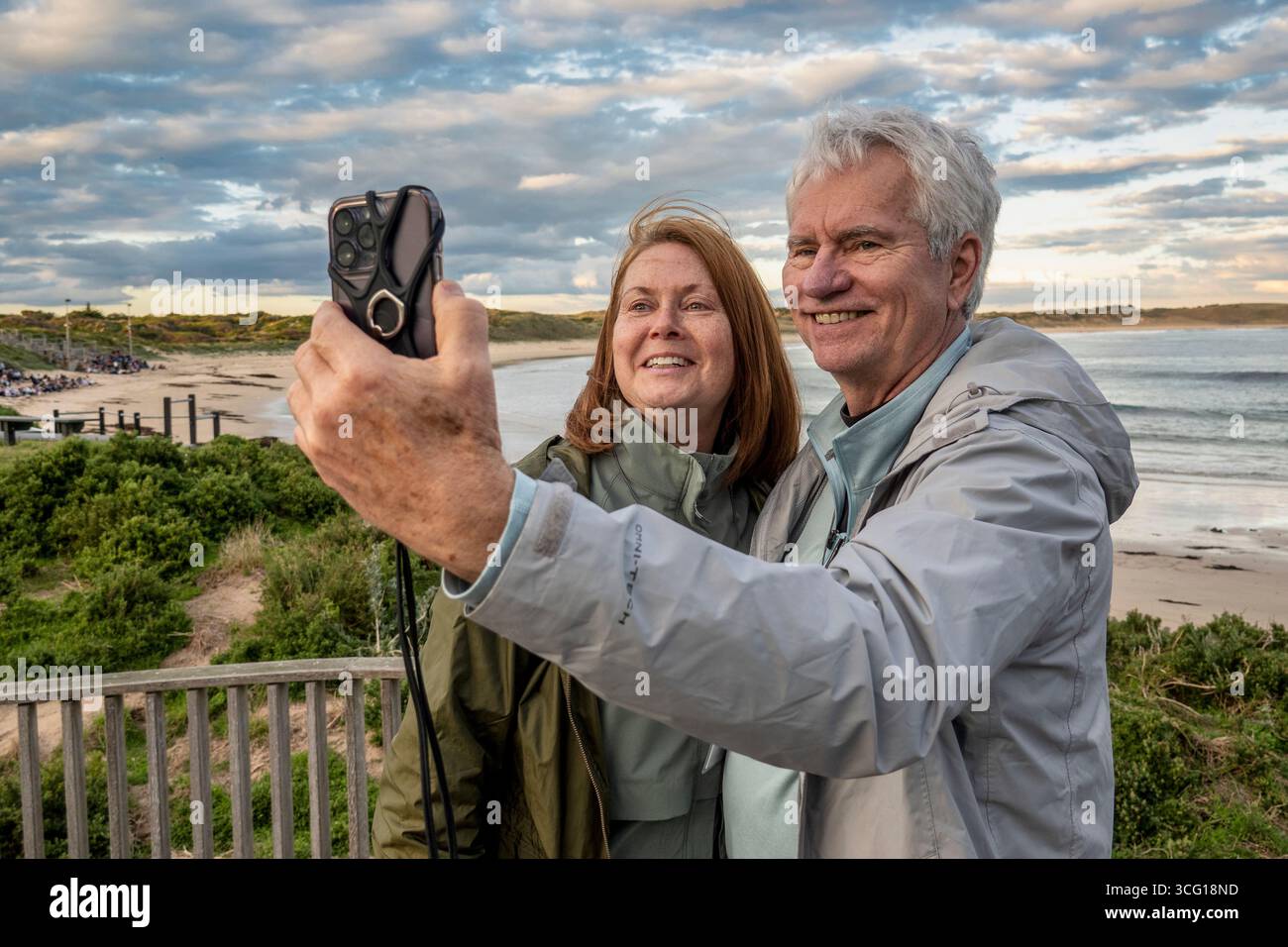 Penguins plus grandstand hi-res stock photography and images - Alamy