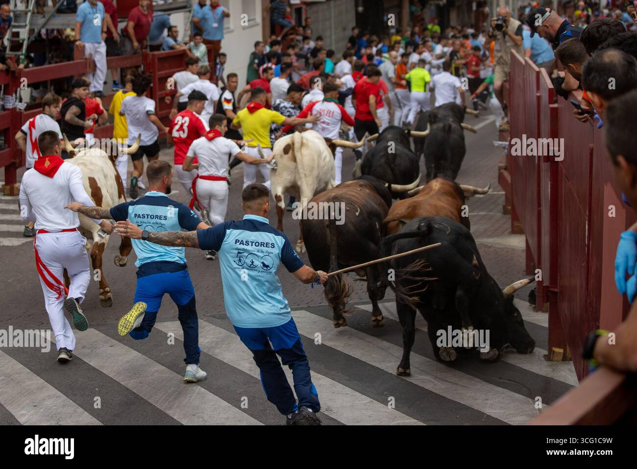 Madrid, Spain. 25th Aug, 2025. First bull run held in the Madrid town ...