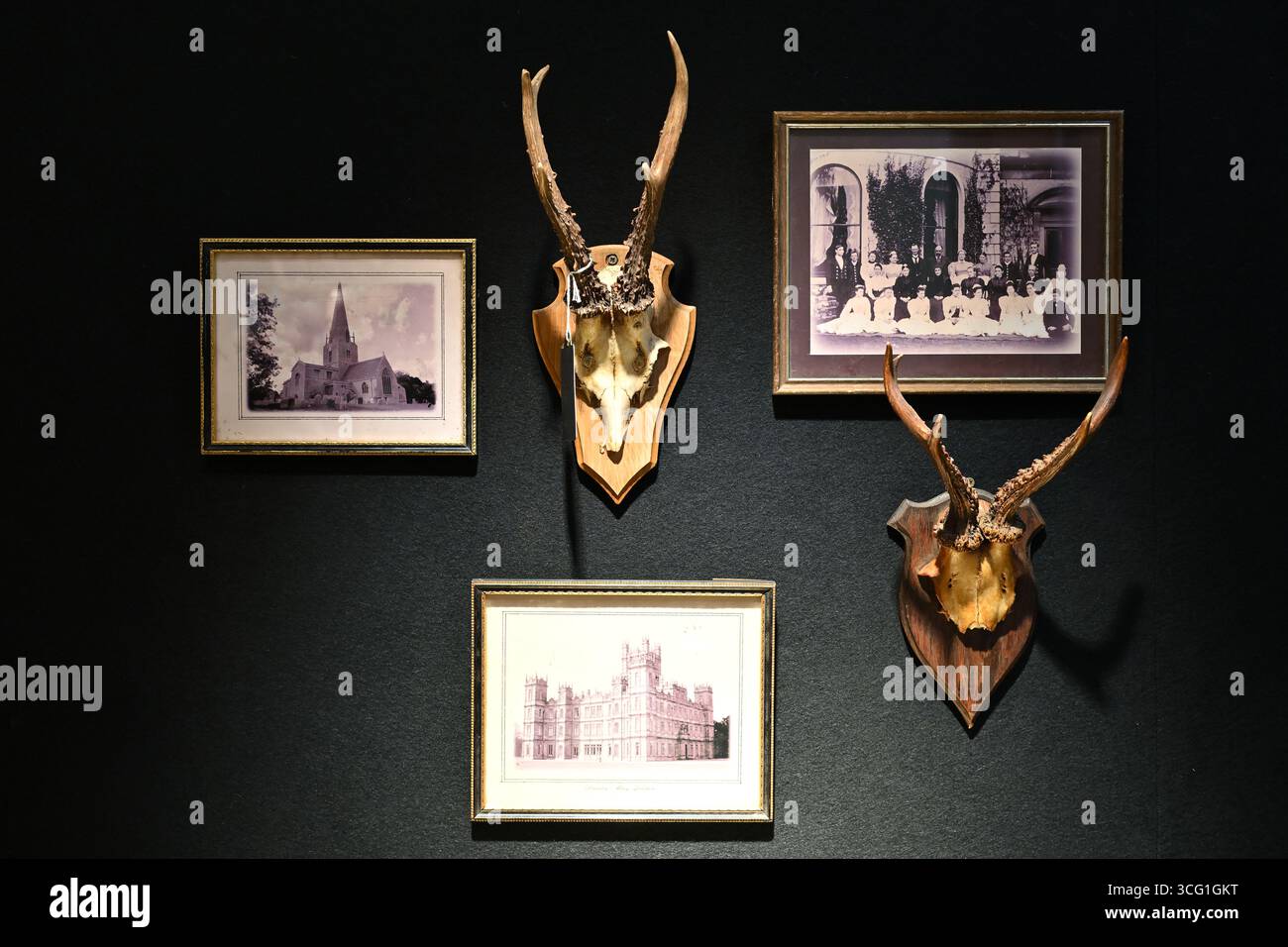 Including the roebuck hi-res stock photography and images - Alamy