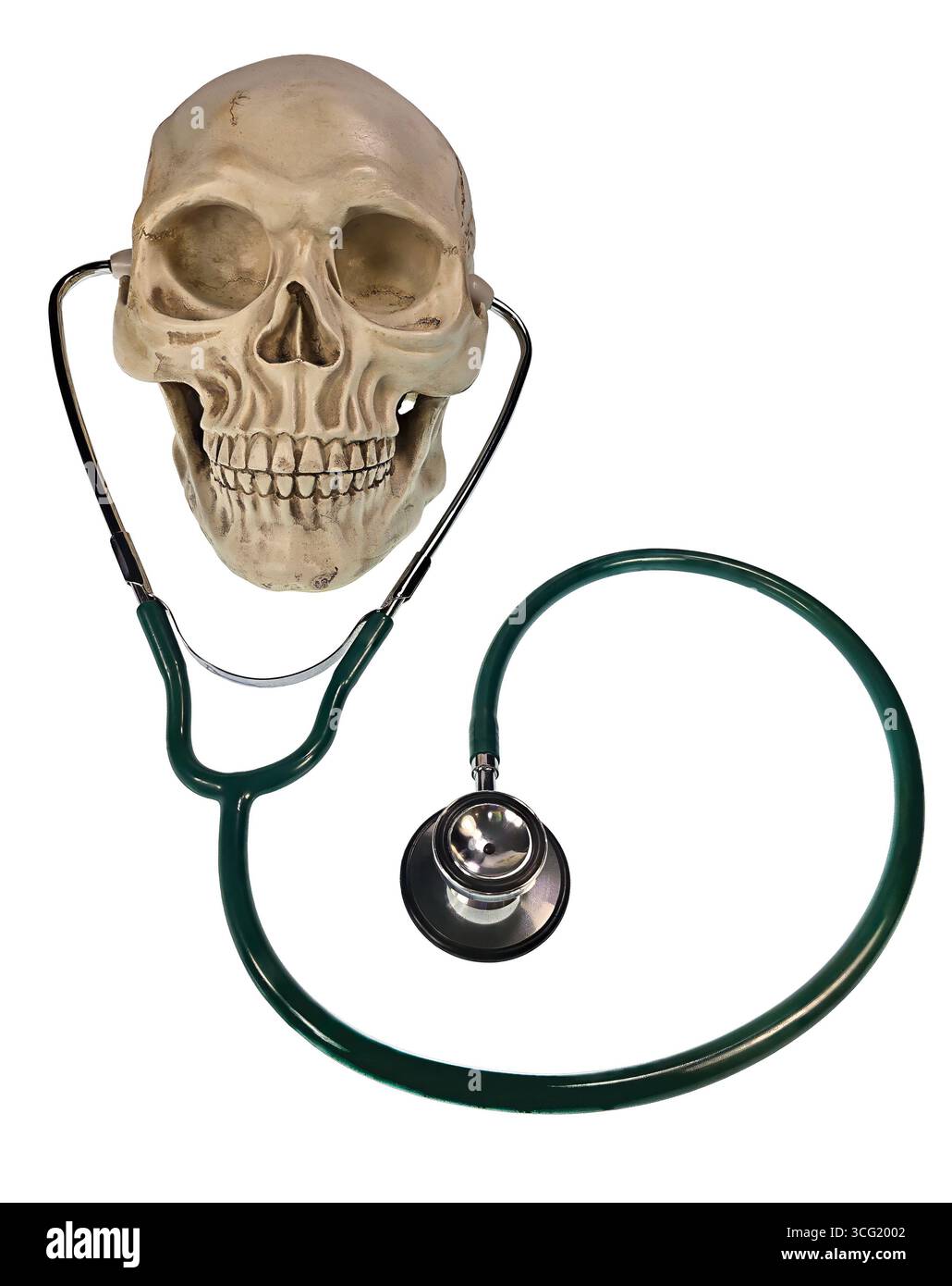 Skull wearing a Stethoscope for listening to the heart beating Stock ...