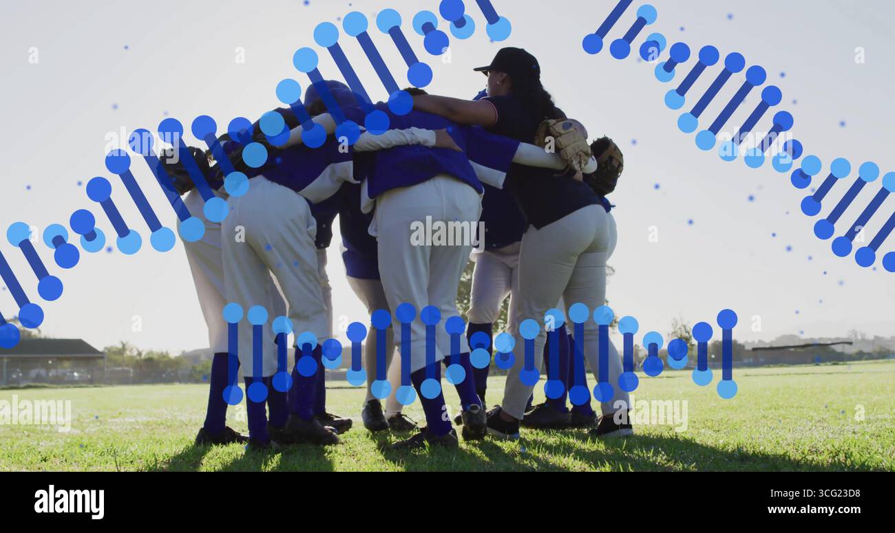 Gathering women's softball team linking arms on grass field, with glove ...