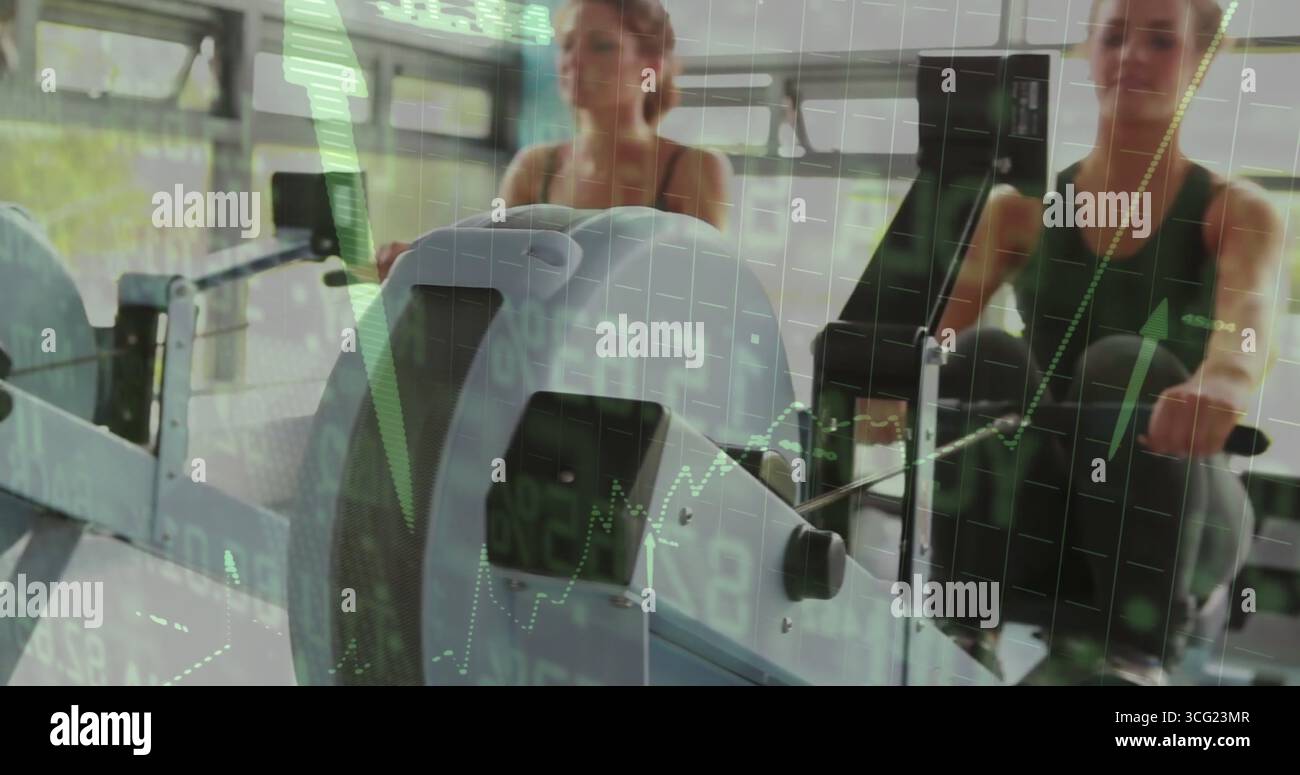 Rowing partners wearing sportswear pulling handles on ergometers at gym ...