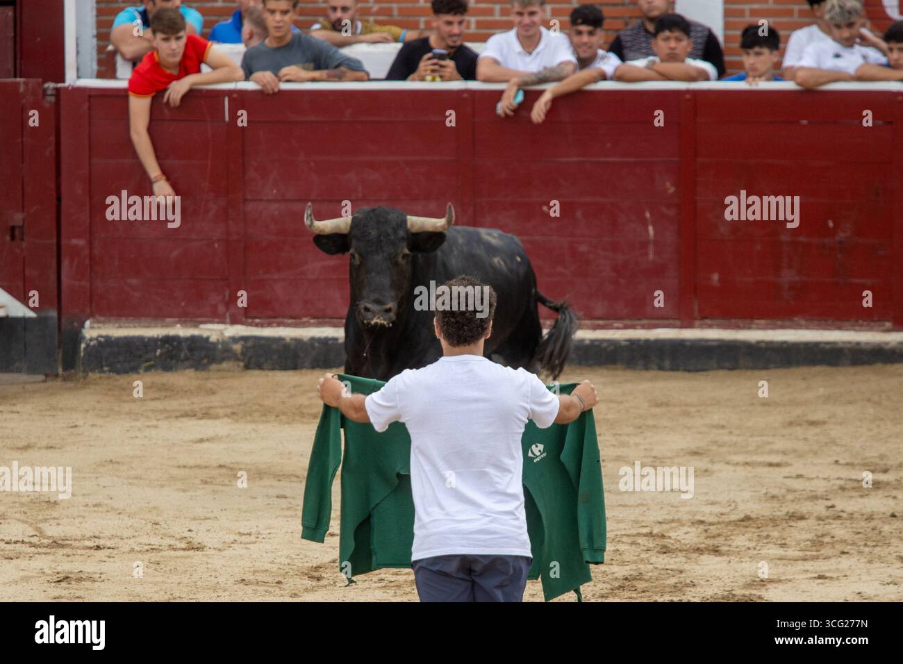 A young bullfighter performs cuts and filigree work during the first ...