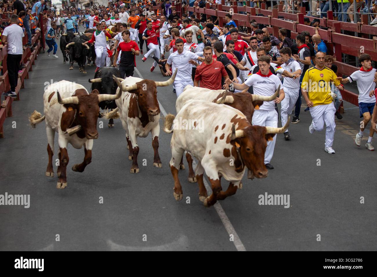 Several young bullfighters run through a street during the first bull ...