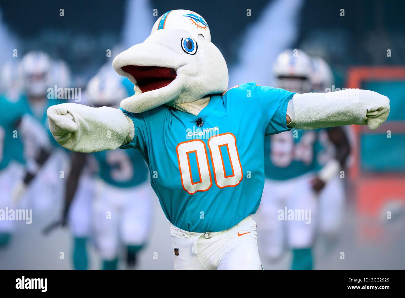 Miami Dolphins mascot T.D. runs onto the field during an NFL preseason ...