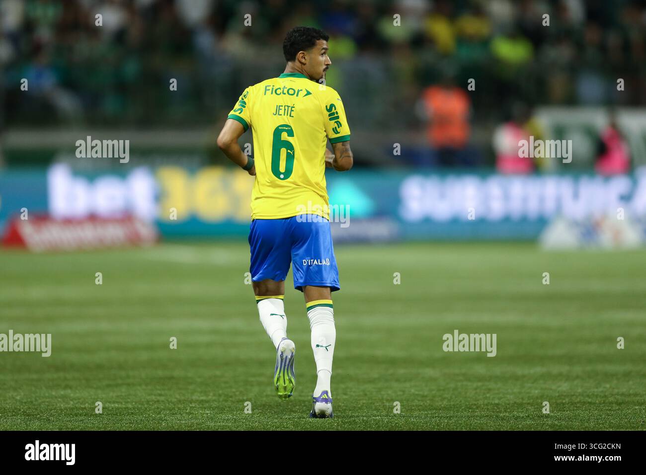 SP - SAO PAULO - 08/25/2025 - BRAZILIAN A 2025, PALMEIRAS x SPORT ...