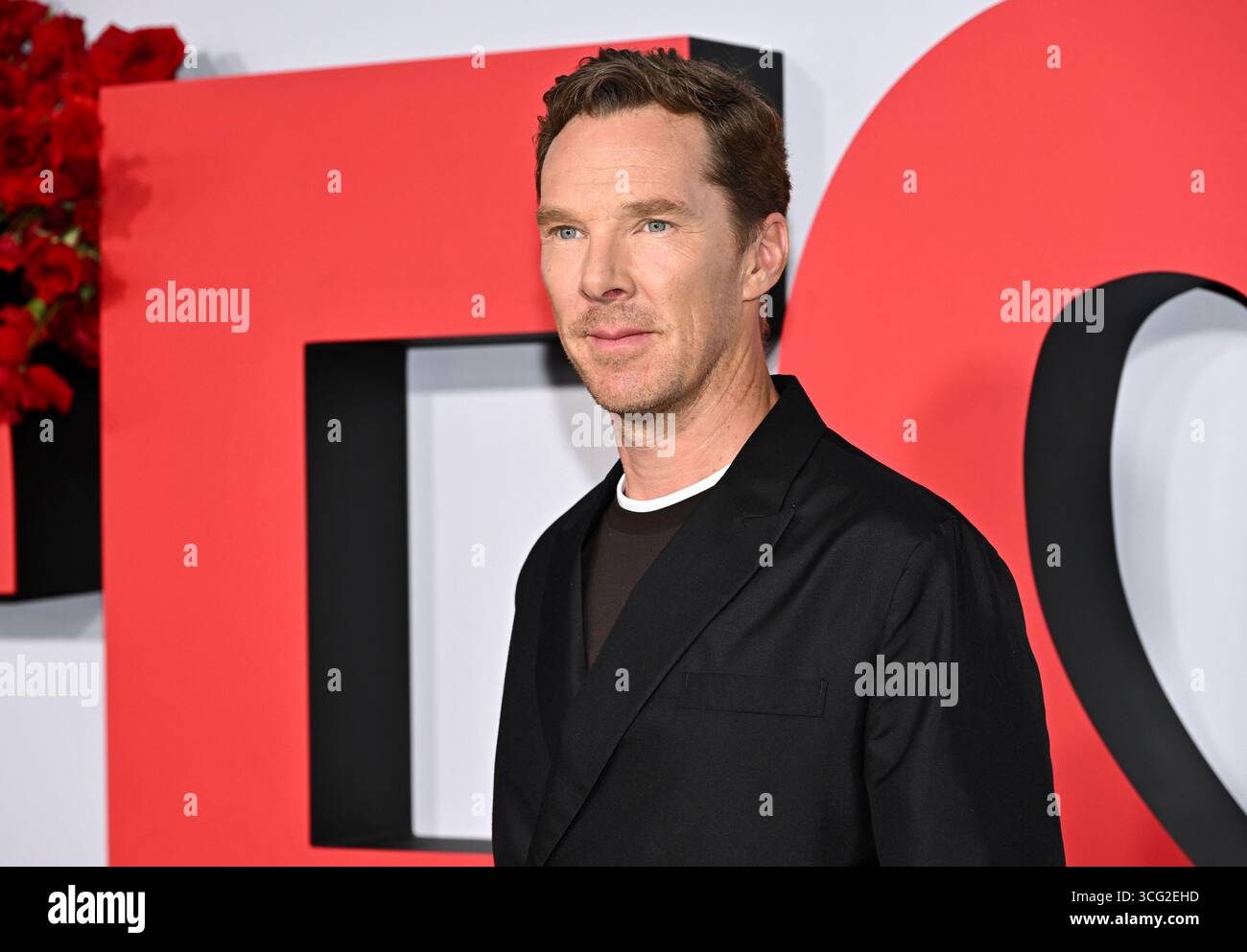 Benedict Cumberbatch attends the premiere of "The Roses" at Hudson ...