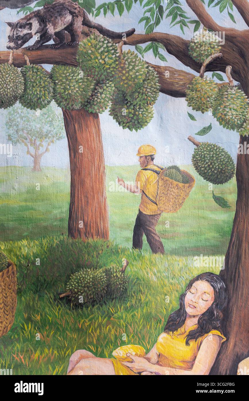 Vertical wall mural, a woman sleep under the durian tree, the fruit is ...