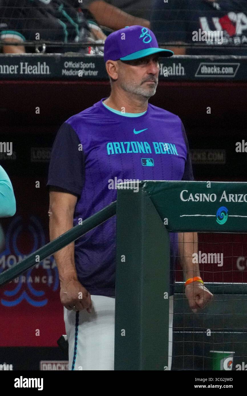 Arizona Diamondbacks manager Torey Lovullo (17) looks on during a ...