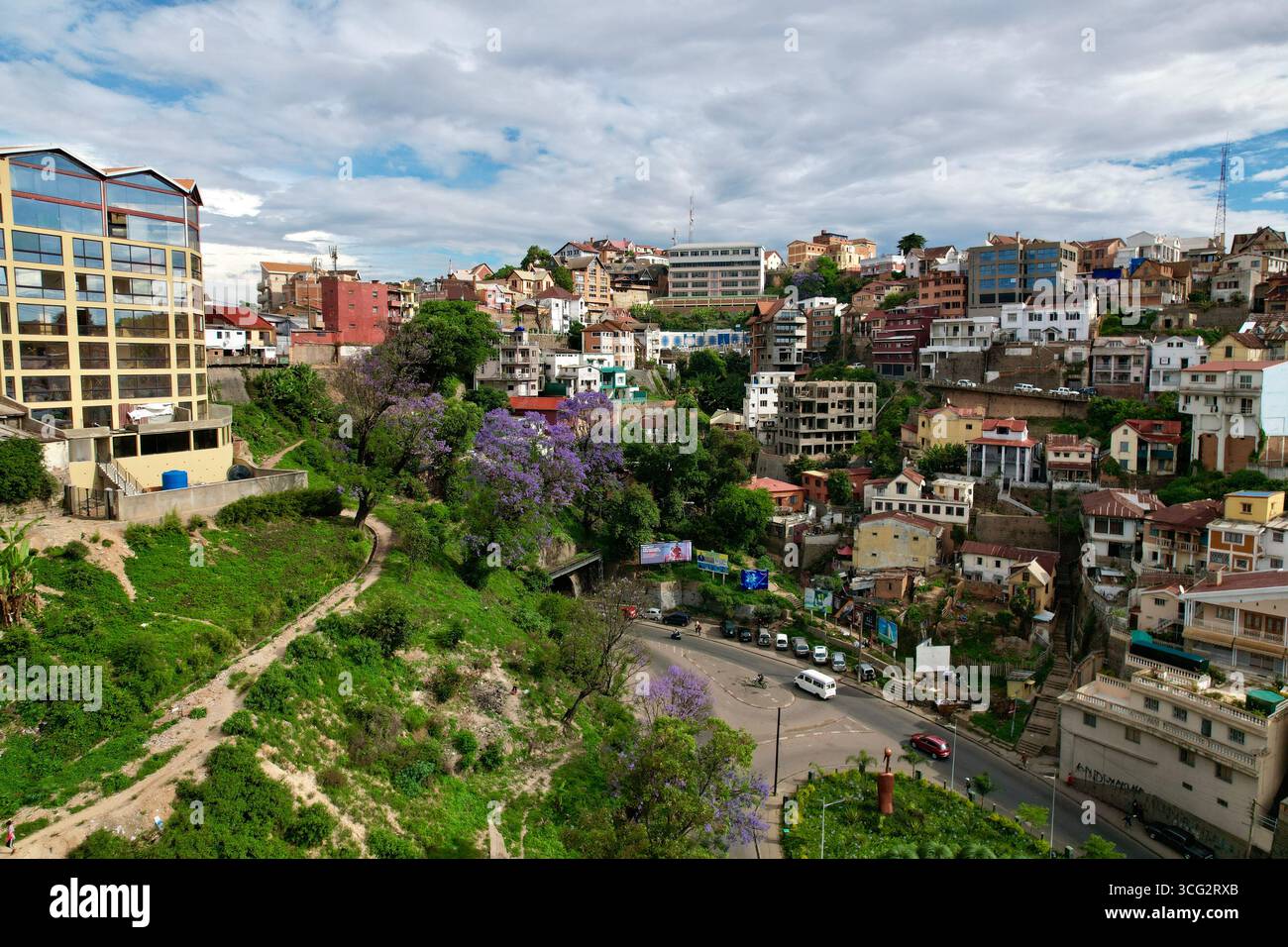 Madagascar jacaranda editorial hi-res stock photography and images - Alamy