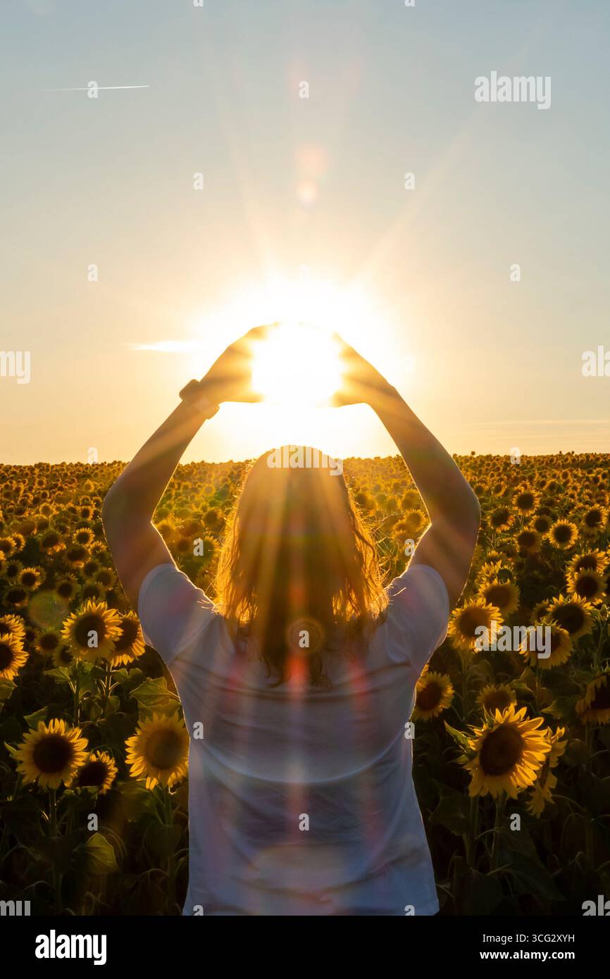 A person stands in a field of sunflowers, reaching towards the setting ...