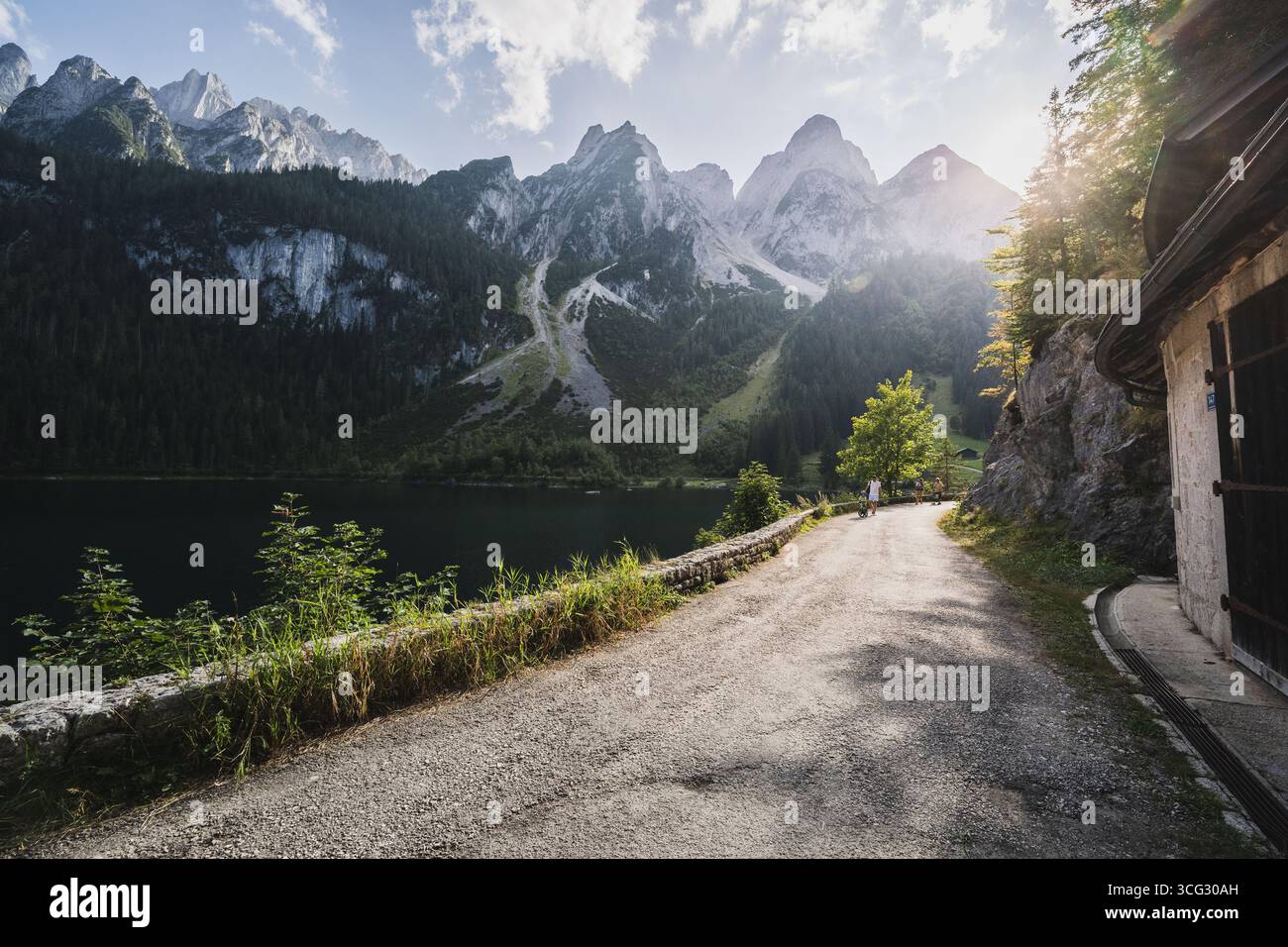 Forest road and hiking trail along the vorderer gosausee hi-res stock ...