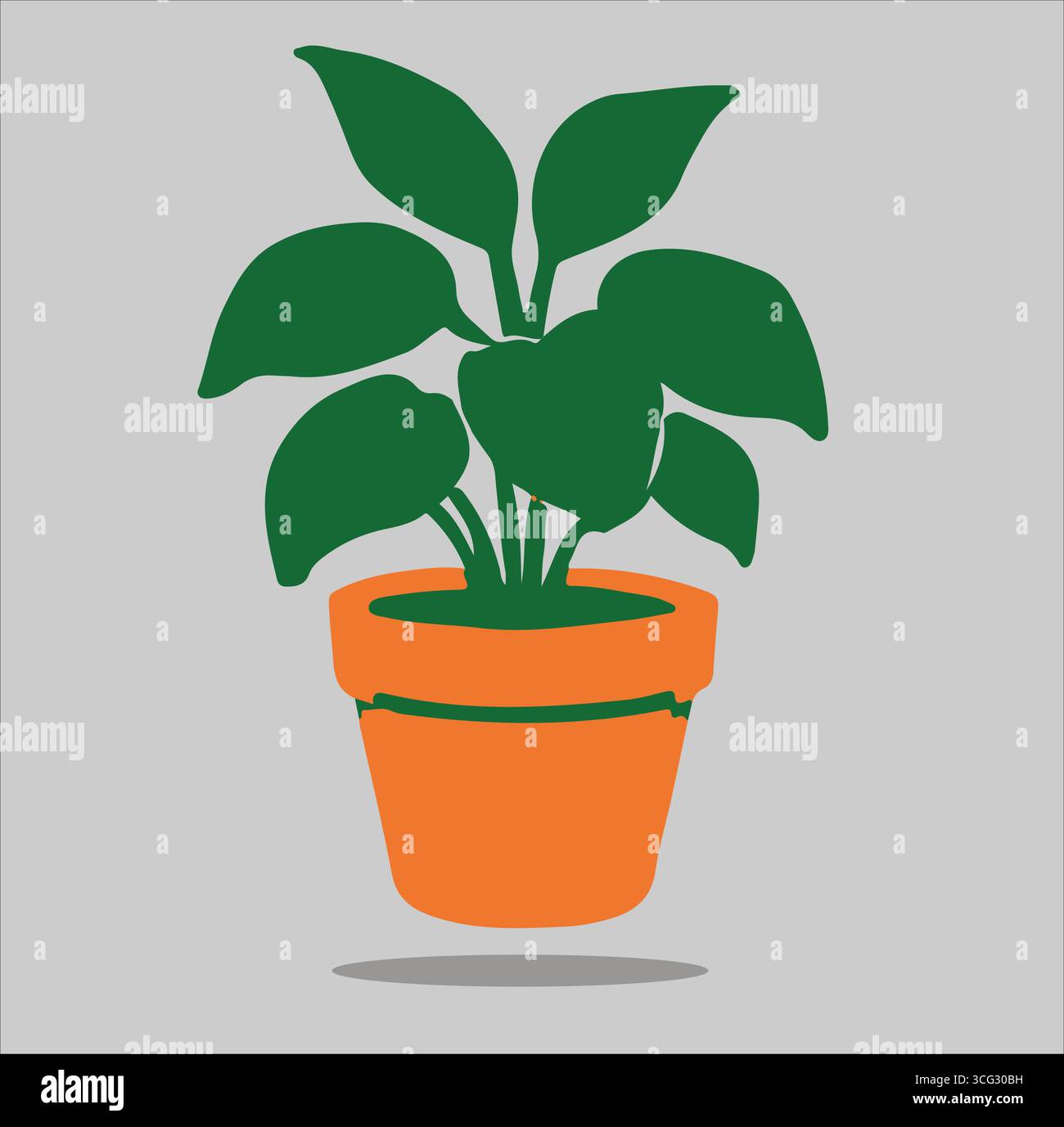 Various plant elements Stock Vector Images - Alamy